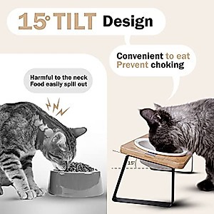 Elevated Cat Ceramic Bowls Stand for Food and Water, Small Dog, Anti Vomit, Indoor Cats, Tilted Feeding Position, Full Bamboo Body Stand with Food Grade, Whisker Friendly Dish for Cats and Puppy