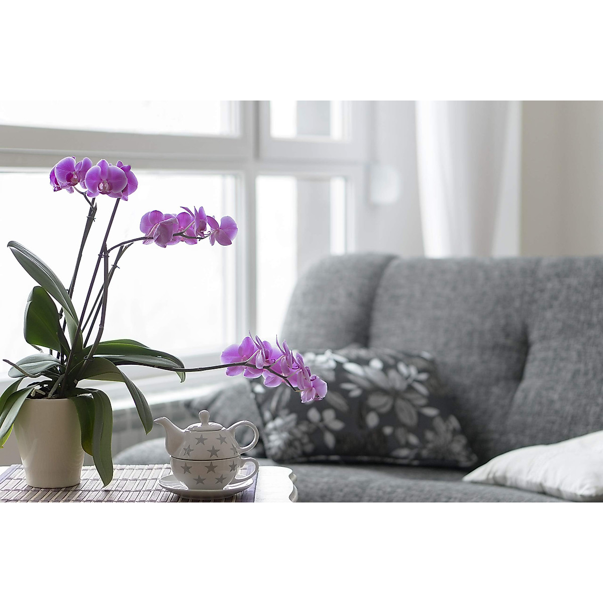 Orchid Fertilizer | Food | Encourages Orchids to Grow in Pot/Pots | for Indoor Outdoor Plant | Orchid Potting Mix by Aquatic Arts