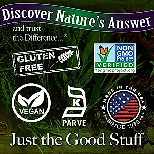 Nature's Answer Vitex Agnus-Castus Chastetree Berry 40mg 90-Capsules | Female Support Supplement | Glute-Free | Non-GMO | Vegan | Single Count