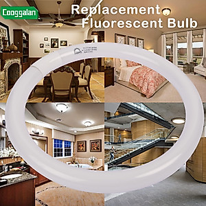 COOGGALAN FC12T9/CW 32W Cool White Circular Light Bulbs, 12 inch Round T9 32 Watts FC12T9/841 4100K Circline Fluorescent Bulb, Replacement Kitchen and Bath Circle Light Bulb, G10q 4 Pin Prong, 2 Pack