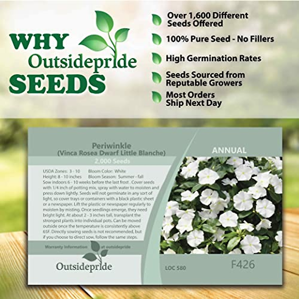 Outsidepride Vinca Periwinkle White Garden Flower, Ground Cover, & Container Plants - 4000 Seeds