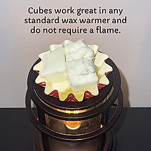 Environment Loop Wax Melt Cubes, 1 Pack of 2.3 OZ Soy Wax Melts for Warmers, Maximum Scent (Eucalyptus Aromatherapy)