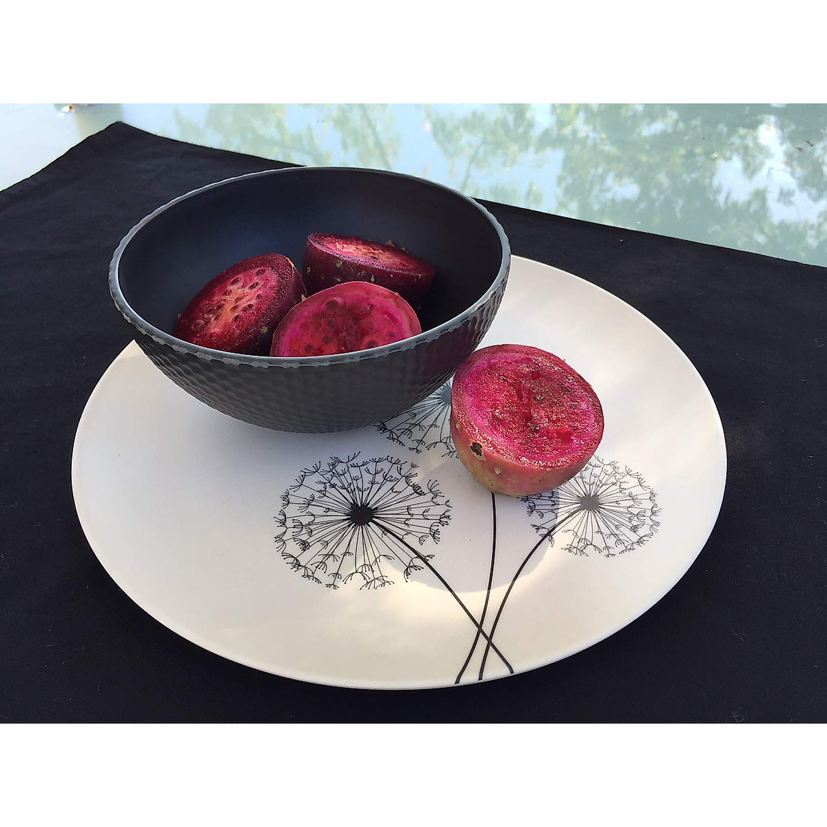 Aquaterra Living Ecofriendly Dinner Plate Set with Dandelion Designs- Set of 6, 10" indoor or outdoor plates