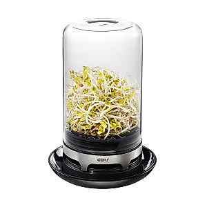 SPROUTING JAR (Black)