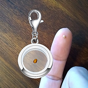 BEKECH Faith Mustard Seed Charm Zipper Pull Clip On Gift for Religious Men Women Faith Jewelry Gift Christian Gift for Faithful Men Women Graduates (silver stainless steel)