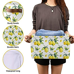 Moudou Lemon Laundry Basket Square Collapsible Laundry Hamper Clothes Toys Storage Bin with Handles for Bedroom, Closet, Nursery, Dorm, Home Decor