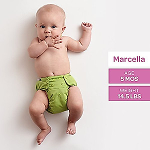 Blueberry One Size Simplex All in One Cloth Diapers, Made in USA (Picnic)