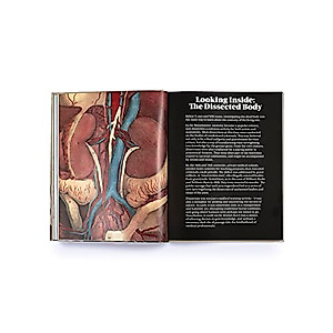 Anatomica: The Exquisite and Unsettling Art of Human Anatomy