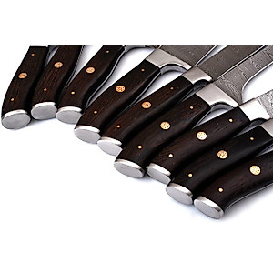 randy Handmade Damascus Kitchen Chef Knife Set - Professional Damascus Steel Knife Set - 10 pcs Japanese Damascus Knife Set With Leather Bag/Case(10801)