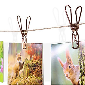 Oakenleaf Clothespins pegs Rose Gold Will Not Rust 316 Stainless Steel 20 Piece Stylish Heavy Duty Clothes Pegs Modern & Eco-Friendly 3inch - The Forever Peg