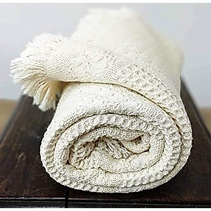 Pure Country Weavers Brittany Natural Blanket - Gift Tapestry Throw Woven from Cotton - Made in The USA (69x48)