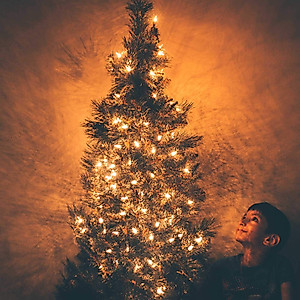 Brightown C9 LED Christmas String Lights, 66ft 100 LED Waterproof Strawberry String Lights, Plug-in Extendable Green Wire Lights String for Outdoor Indoor Outside Patio Wedding Party Decoration