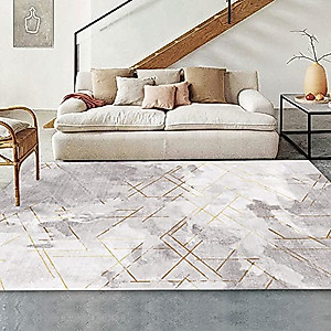 FINOREN Abstract Gold Line Area Rugs for Living Room,Bedroom,Hallway,Dining Room,Non-Shedding,Non Slip Backing,Floor Decoration Carpets,Gray-White,5'x7'