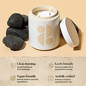 Paddywax Candles FR1203Z Form Collection Scented Candle, 12-Ounce, Tobacco Flower