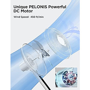 PELONIS 16" Oscillating Pedestal Stand Up Fan | Adjustable Height | Ultra Quiet DC Motor | Remote Control | 12 Speed | 12-Hour Timer | High Energy Efficiency | for Bedroom Home Office Use | White