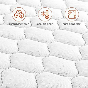 Vesgantti Queen Mattresses, 14 Inch Queen Size Hybrid Mattress in a Box, Ergonomic Design with Breathable Momory Foam and Pocket Spring/Medium Firm Feel