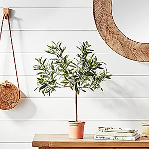 Amazon Brand - Stone & Beam Artificial Olive Tree Topiary with Faux Terracotta Pot, 2.4 Feet (28.8 Inches), Indoor