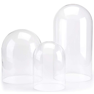 Displays2go Large Glass Dome Display with Baseless Design, 12" x 24" — Clear (DCGDOMEL)