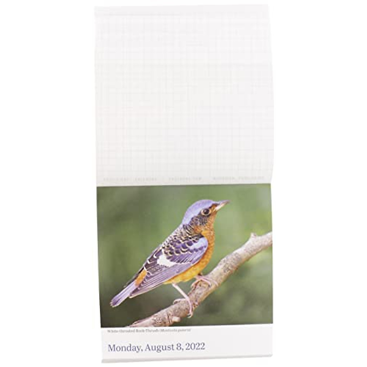 Audubon Birds Page-A-Day Calendar 2022