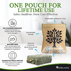 Airganic Moisture Absorbers, Safe Dehumidifier - USA-Made & All Natural from Minerals - Reusable Dessicant, Safe Accessory, Car Dehumidifier, Closet Dehumidifier - Kid & Pet Friendly (1 Pack)