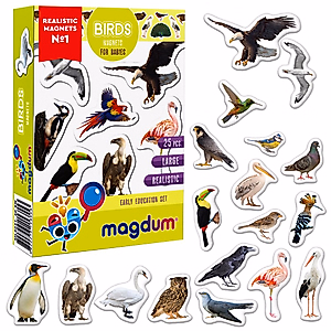 25 Fridge Magnets for Toddlers - Birds Photo Kids Magnets for Fridge - Toddler Magnets for Refrigerator - Magnetic Animals - Fridge Magnets for Kids - Animal Magnets - Toddler Fridge Magnets
