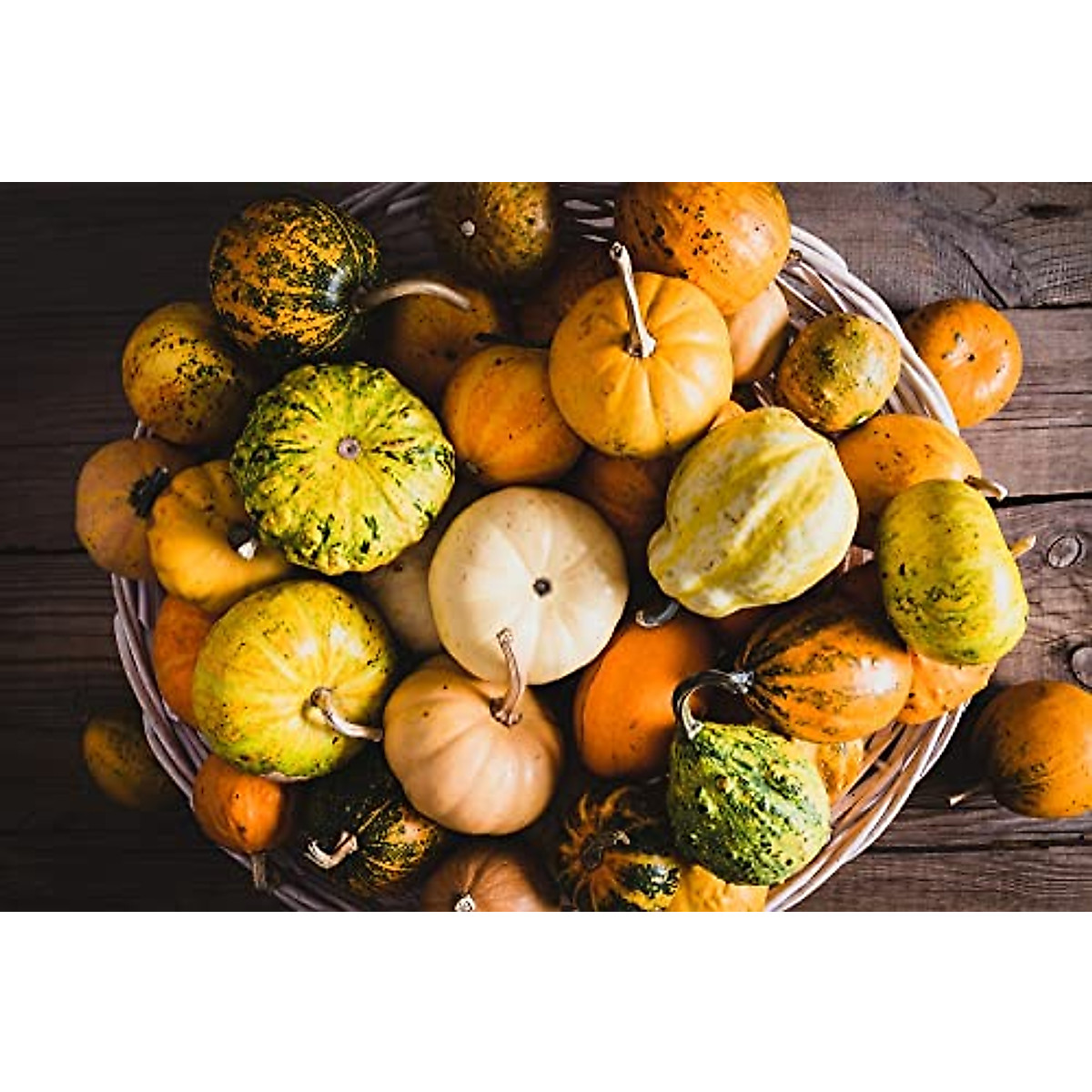 "Large Gourd Mix" Squash Seeds for Planting, 25+ Heirloom Seeds Per Packet, (Isla's Garden Seeds), Non GMO Seeds, Great Home Garden Gift, Decorative Squash Gourds