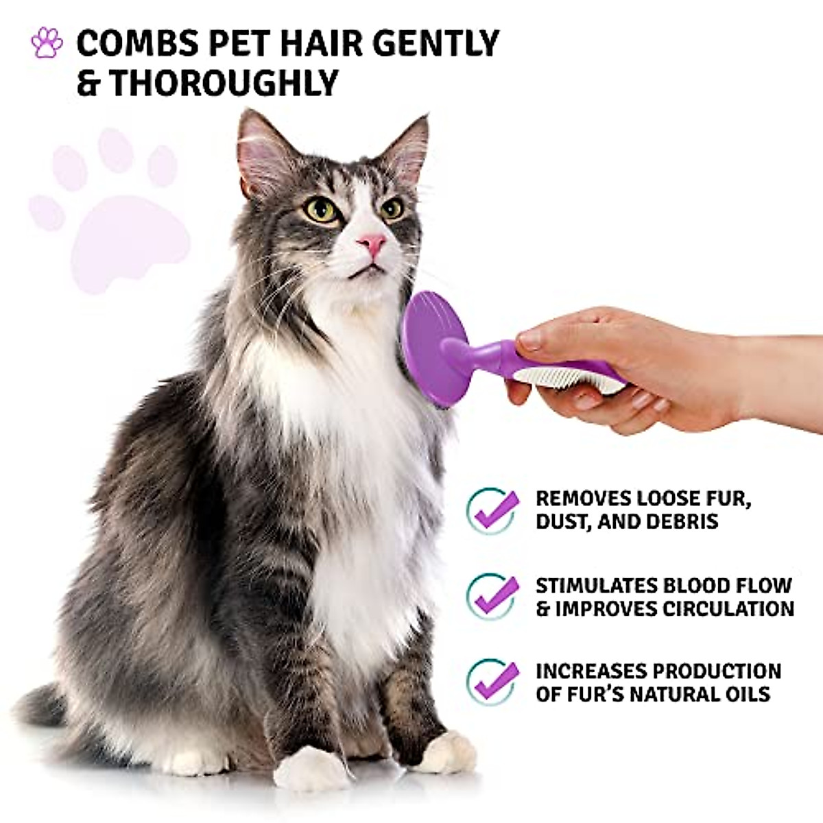 Round Bristle Pet Brush for Dogs and Cats - Gentle Grooming for Short or Long Hair - Soft Tool for Sensitive Skin Removes Dander, Dirt, and Detangles - Purple