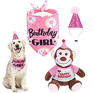 EXPAWLORER Dog Birthday Bandana Set - Cute Hat and Squeaky Monkey Toy for Birthday Party Supplies Gift - Great for Small Medium Large Dogs