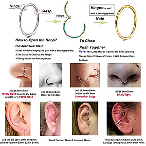 20g Small Nose Rings Hoops Grade 23 Titanium Black Hinged Seamless Rings Clicker Sleeper Top Cartilage Daith Rook Snug Tragus Piercing Hoop Earrings 7mm