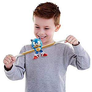 Heroes of Goo Jit Zu Sonic S1 Hero PK, Multicolor (41326)