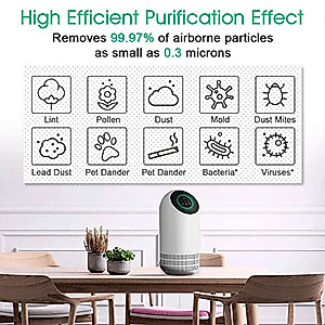 Air Purifier for Home Kitchen Office, H13 True HEPA Filter, 880ft² Coverage, 24dB Sleep Mode, Remove 99.99% Pet Odors, Dust, Pollen, Smoke, with Filter Reminder