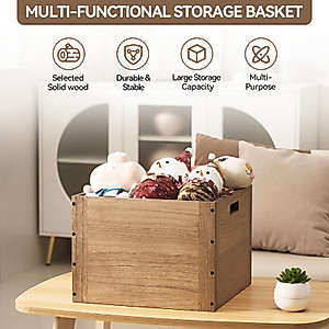 Kirigen Modular Open Storage Cube F26-DBR