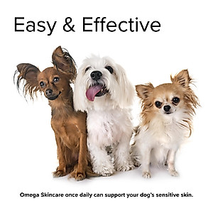Terry Naturally Animal Health Omega Skincare - 8 fl oz - with Omega-3, -6, -9, Flax, Pumpkin, Sunflower & Sesame Seed Oil - Canine Only - 47 Servings
