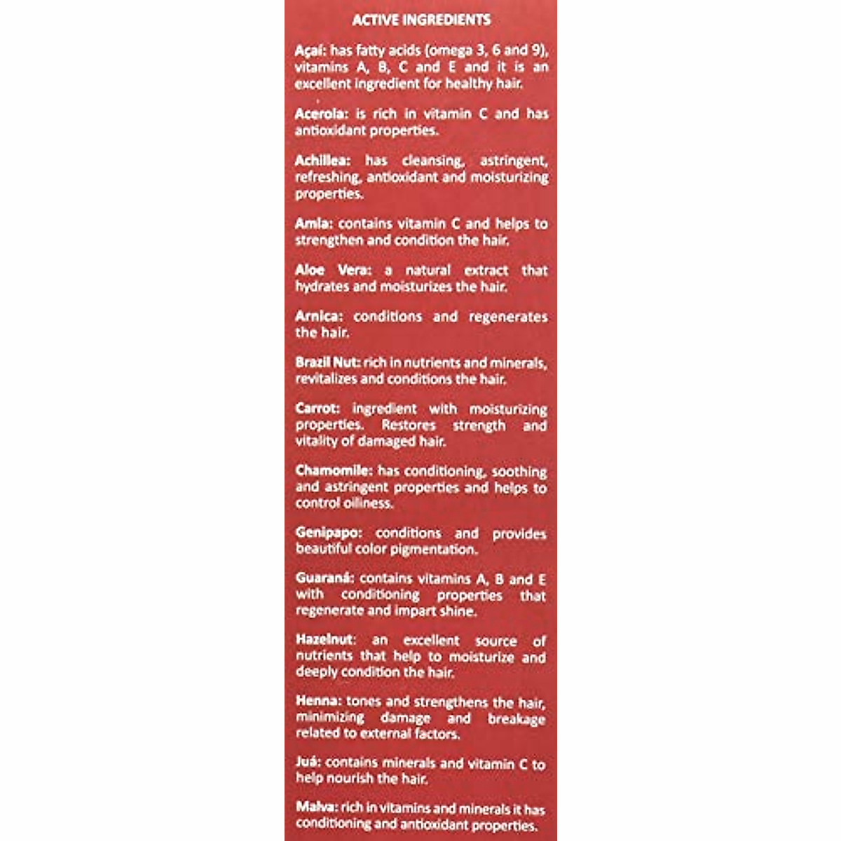 Surya Brasil Products Henna Cream, Burgundy, 2.37 Fluid Ounce