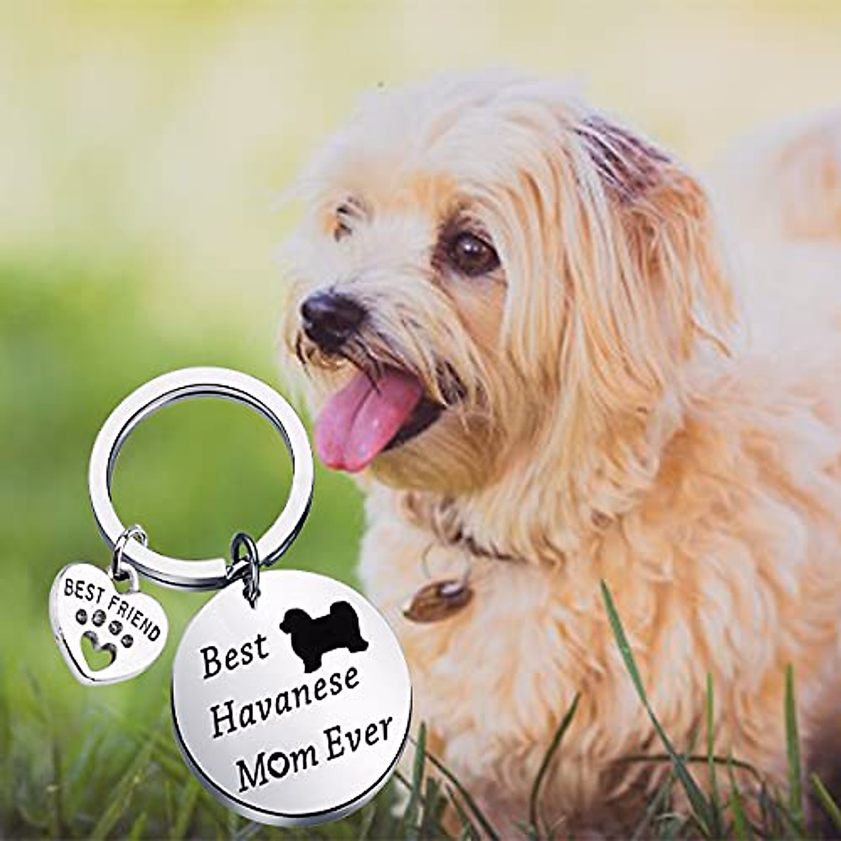 Lywjyb Birdgot Best Havanese Mom Ever Keychain Dog Lover Best Friend Havanese Gift (Best Havanese KY)