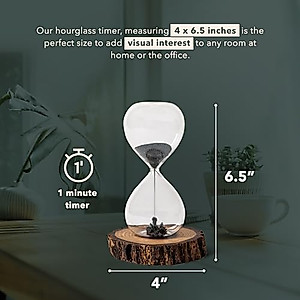 Blackswan Magnetic Hourglass Sand Timer | Natural Live Edge Walnut Wood Magnet Base Hour Glass with Iron Dust Shavings | 1 Minute Functional Fun Retro Clock Watch for Office, Home Decor | 4" x 6.5"