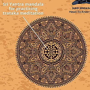 The Mindful Word Yoga Poses Poster (24x36 Inches) - Extra Large Yoga Poster with 62 Asanas/Positions/Stretches English & Sanskrit (Rolled/Tube)