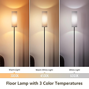Lithomy Floor Lamps for Living Room with 3 Color Temperatures, Modern Standing Lamp Tall Industrial Reading for Bedroom, Living Room, Office, Kids Room,9W Bulb Included-Black with Gray Lampshade