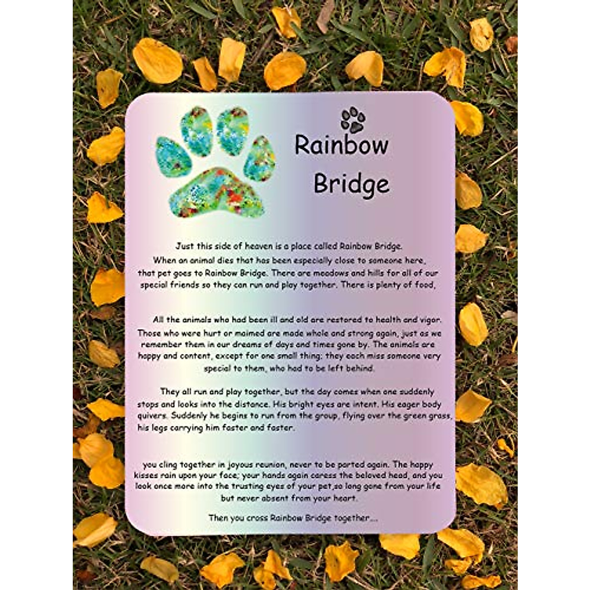 A.B.C. Pet Memorial Bracelet-Loss of Pet Gifts with Rainbow Bridge Card in Loving Memory of Your Beloved Dog Cat- Pet Loss Jewelry