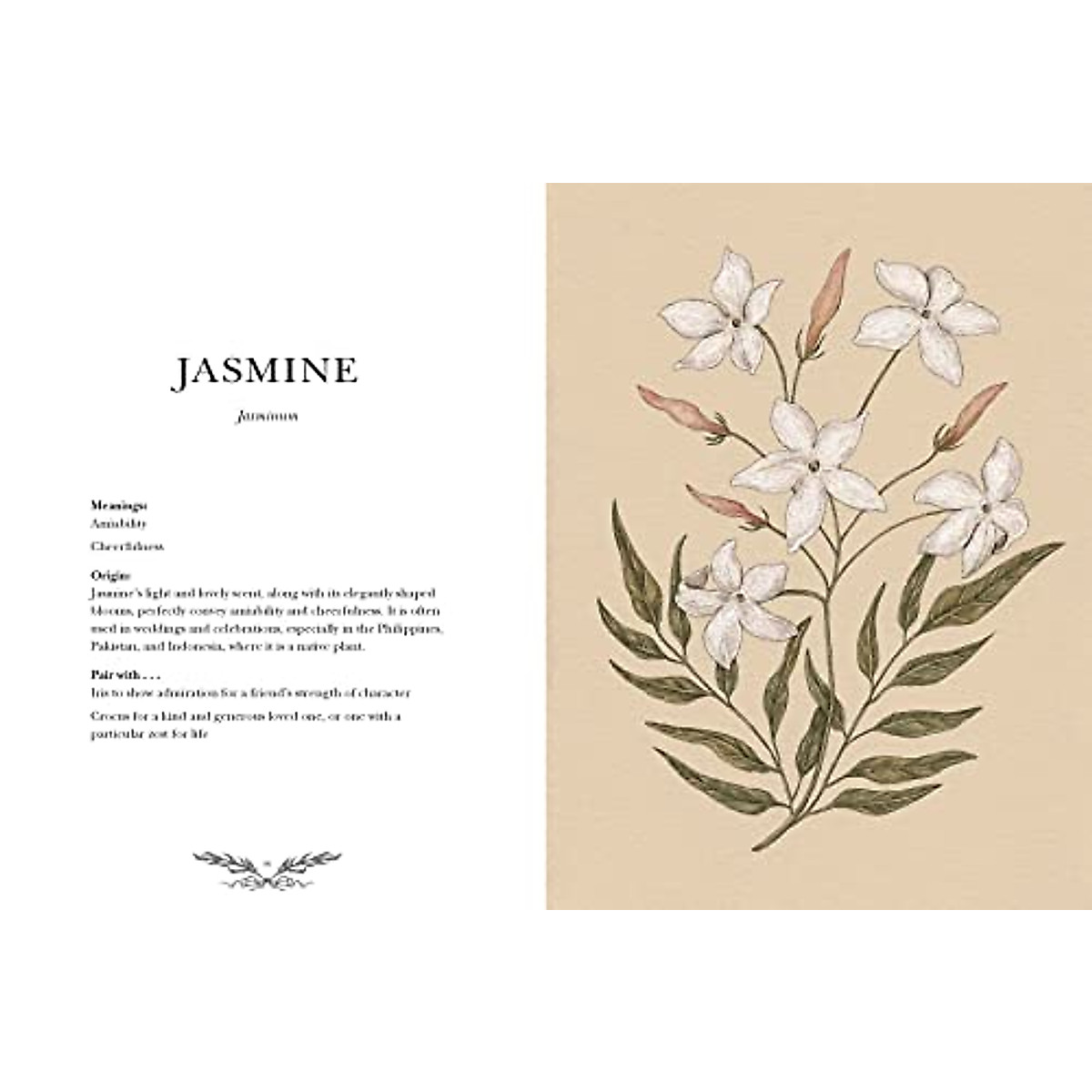 Floriography: An Illustrated Guide to the Victorian Language of Flowers (Volume 1) (Hidden Languages)