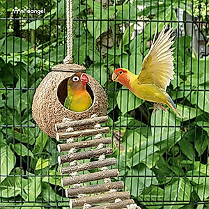 Niteangel Natural Coconut Hideaway with Ladder, Bird and Small Animal Toy (House with Ladder, Natural Surface)