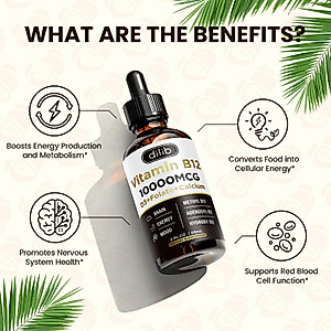 dilib Vitamin B12 Complex 10000 mcg | Vegan Triple Liquid B-12 Drops Sublingual Supplement | Methylcobalamin & Adenosylcobalamin & Hydroxo Blend for Long-Lasting Energy and Healthy Metabolism(2 Pack)