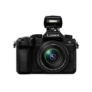 Panasonic LUMIX G95 20.3MP Mirrorless Camera Bundle with Microphone and Photo and Video Backpack (3 Items)