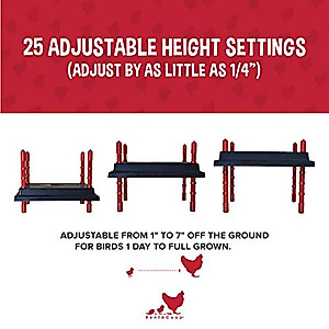 RentACoop Chick Brooder Heating Plate and Anti-Roost Cone Set- Brooder Heat Plate Warms Up to 30 Chicks - Chick Heater with 25 Adjustable Heights and 42 Watts - Safer Than to Heat Lamps - 16" x 16"
