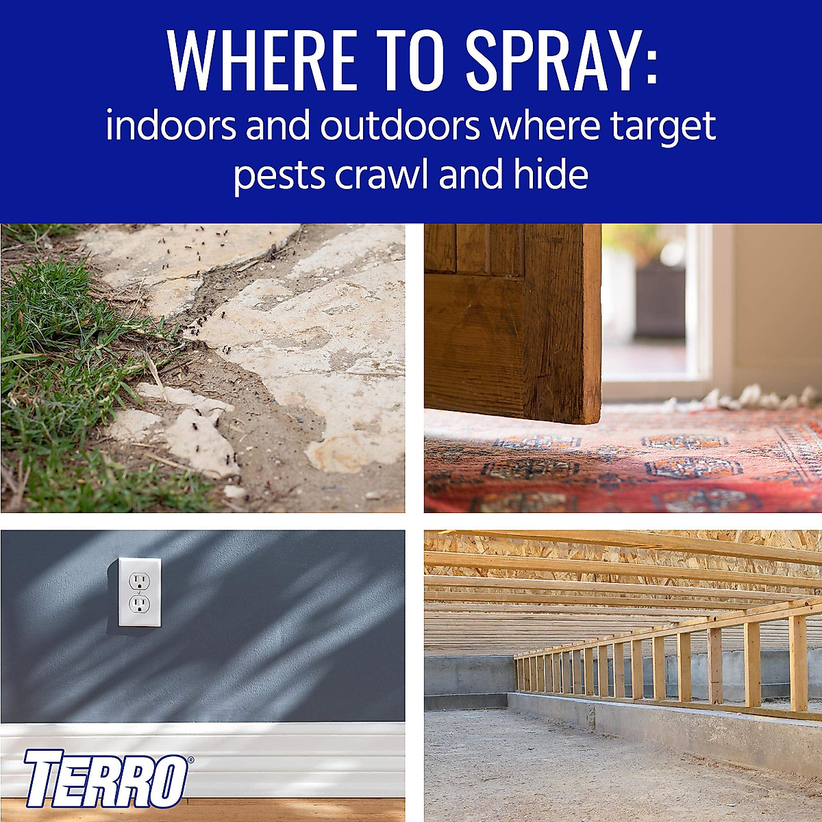 TERRO T2302-6 Spider Killer Spray for Indoors and Outdoors - Kills Spiders, Ants, Roaches, Scorpions, Ticks, Silverfish, and Other Insects