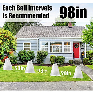 24 Pack Rat Repellent Peppermint Oil Rat Repellent, Mouse Repellent for Car Campers Outdoors Indoor Garage