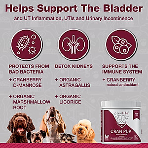 Pawlife Cranberry Supplements for Dogs| Urinary Tract & Bladder Support| D Mannose & Antioxidants for Support| 120 Veterinarian Formulated Soft Chews| Up to 4-Month Supply