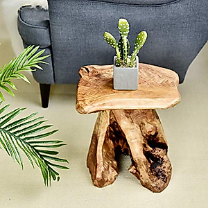 WELLAND Tree Stump Stool Live Edge, Natural Edge Side Table, Plant Stand, Nightstand, Mushroom Stool 14" Tall