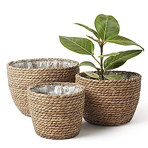 La Jolíe Muse Seagrass Planter Basket Indoor, Flower Pots Cover, Plant Containers, Natural(3-Pack) 10.2"+8.7"+6.7"