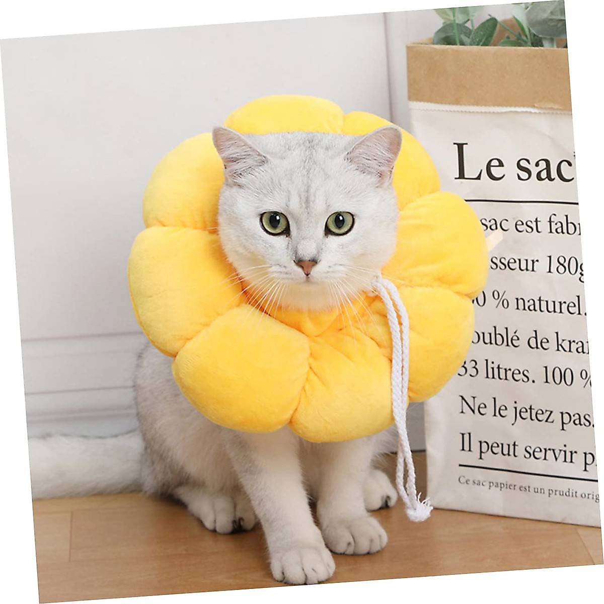 Toddmomy 2pcs Elizabeth Circle Pet Bite Collar Cat Recovery Neck Cone Elizabethan Cat Cone Adjustable Pet Cone Pet Bite Collar Cat Recovery Collar Choker Pp Cotton Kitten